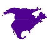 UreSil - medical device development